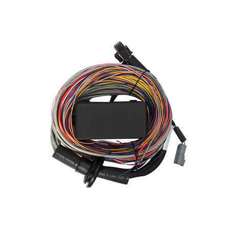 Haltech Elite ECU Universal Harnesses – NZ Performance Wholesale Ltd